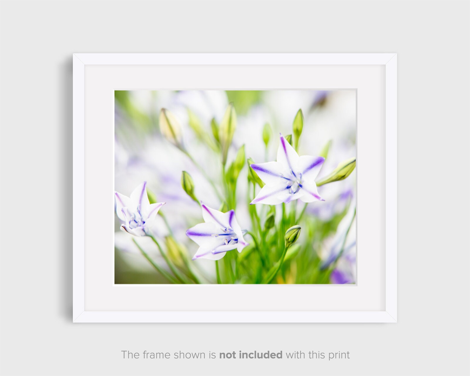 Set of 4 Prints Blue Green Wall Art, Spring Flower Prints, Flower ...