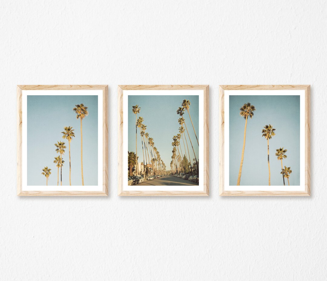 Set of 3 Prints, California Palm Tree Prints, Los Angeles Photography ...