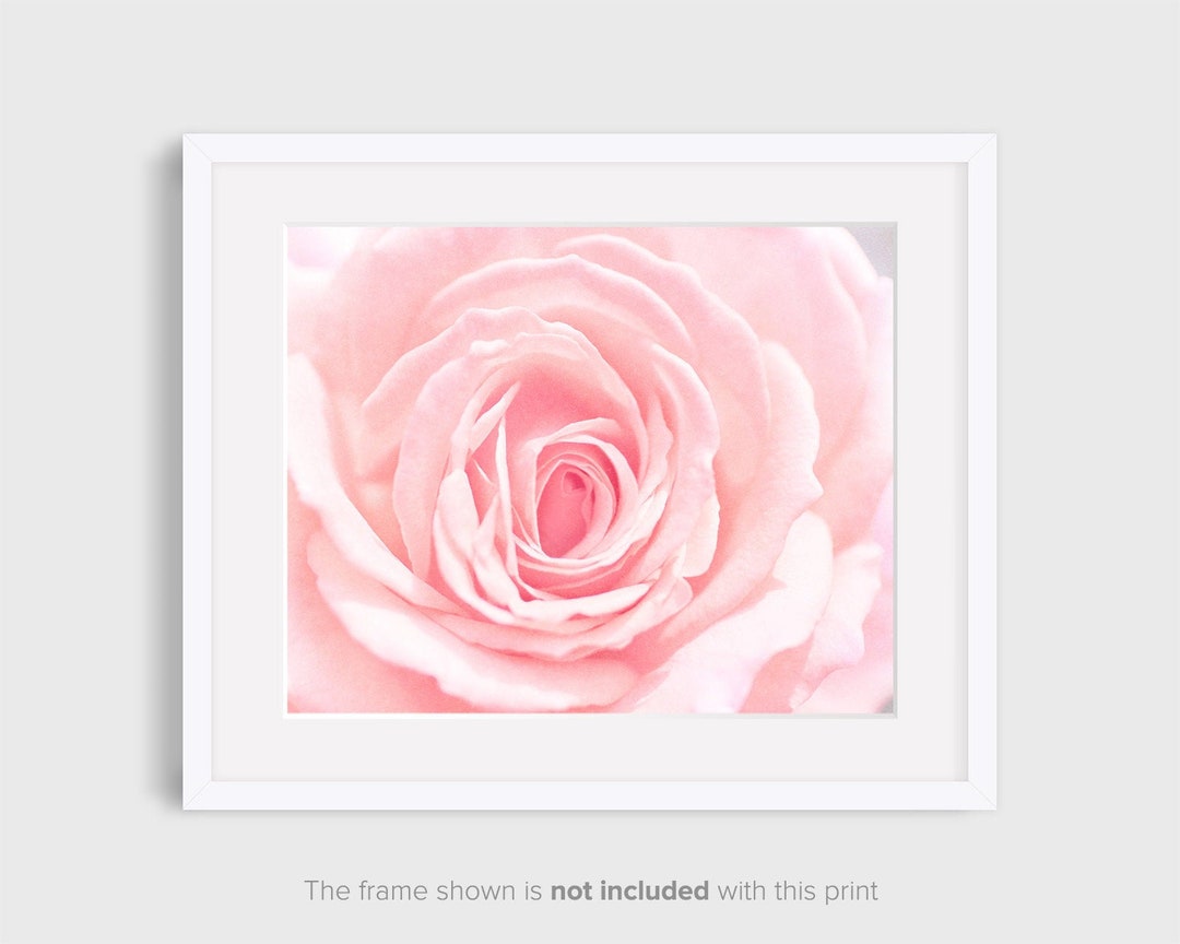 Pink Wall Decor, Shabby Chic Wall Art, Pink Kitchen Art, Nature ...