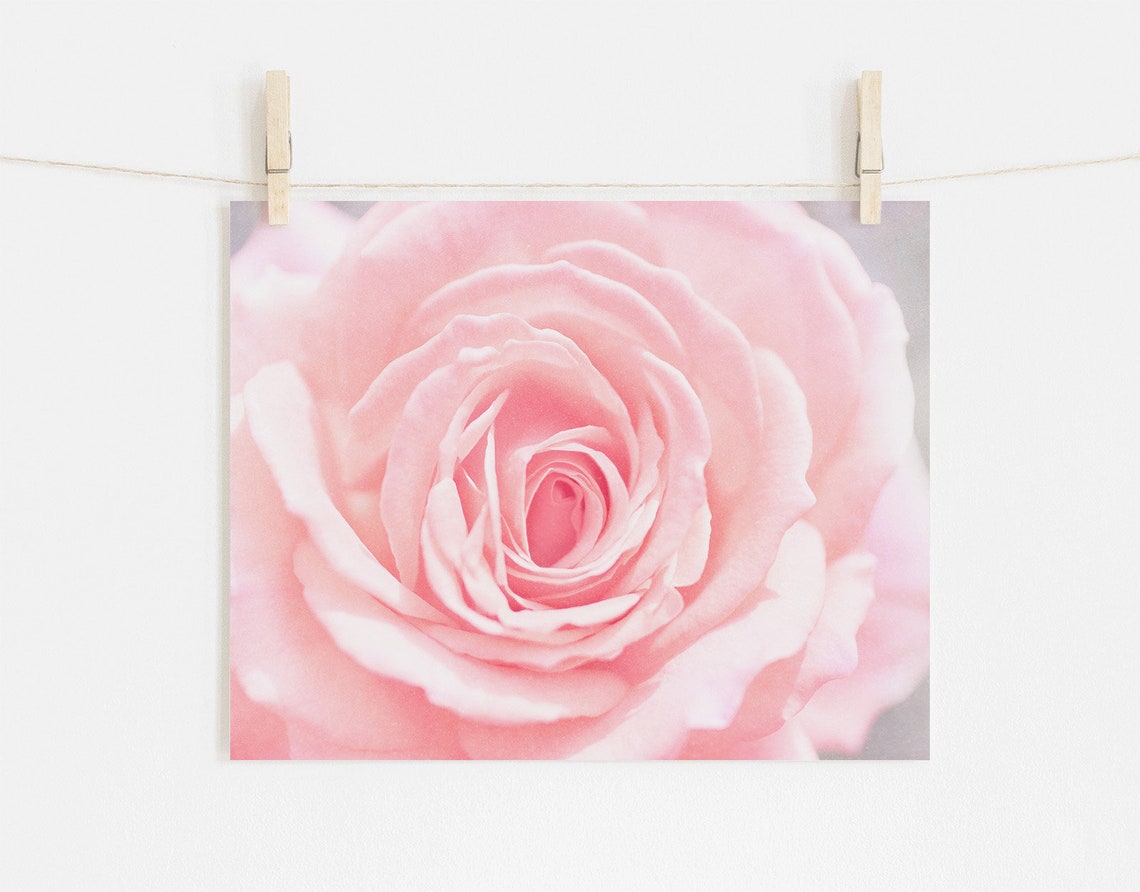 Pink Wall Decor, Shabby Chic Wall Art, Pink Kitchen Art, Nature ...