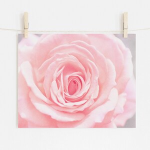 Pink Wall Decor, Shabby Chic Wall Art, Pink Kitchen Art, Nature ...