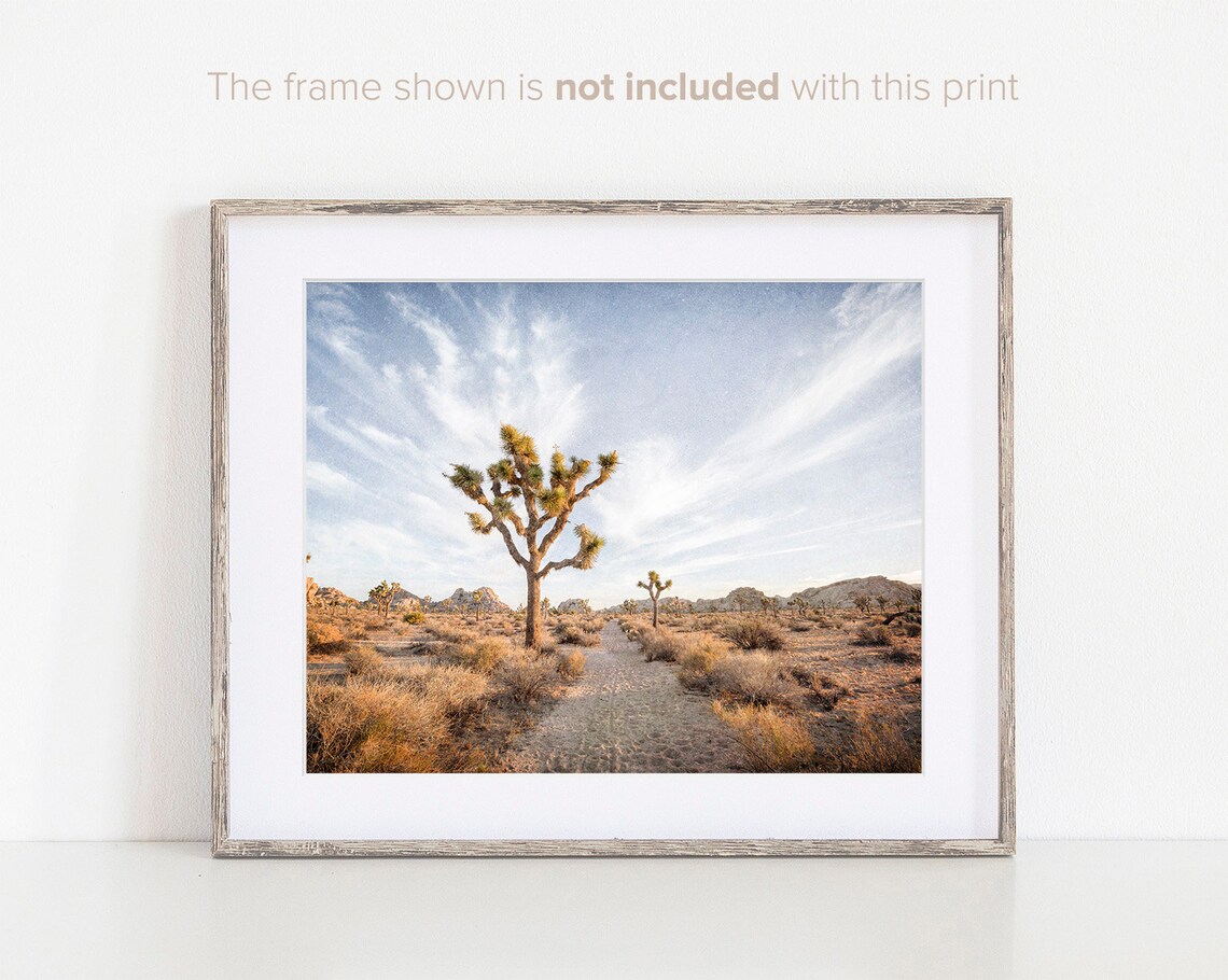 Set of 4 Prints Joshua Tree Wall Art California | Etsy