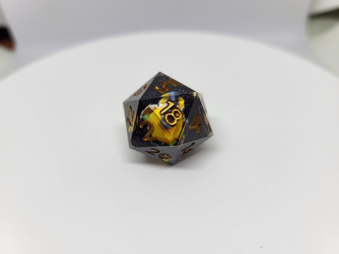 Queso D20! - Standard Size D20 - Funds Go to Vet Bills! - Etsy
