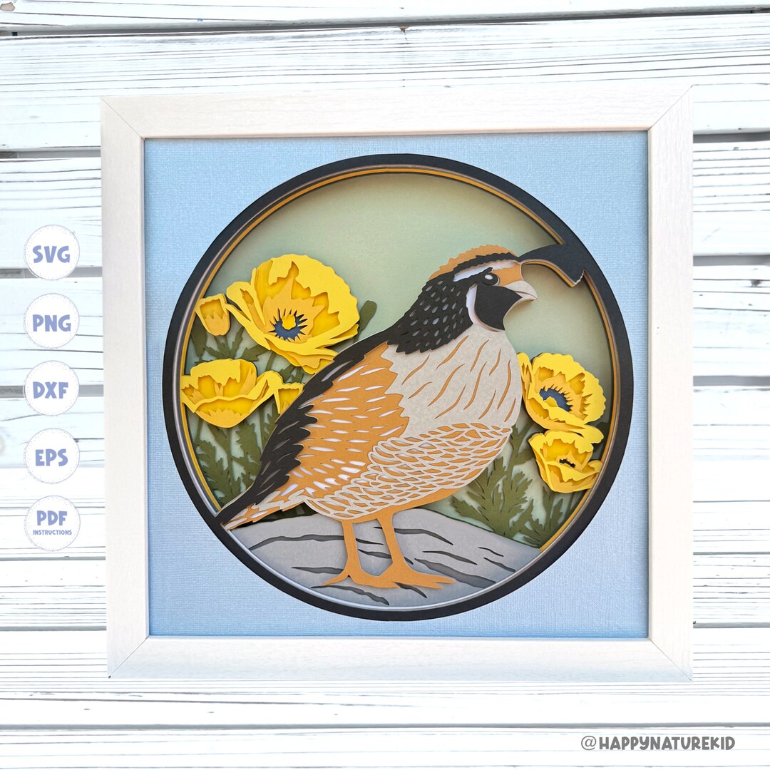 California Quail With Poppies Shadow Box Svg, Bird Shadow Box Svg ...