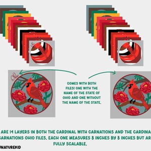 3d Cardinal With Carnations Shadow Box Svg, Bird Shadow Box Svg, 3d ...