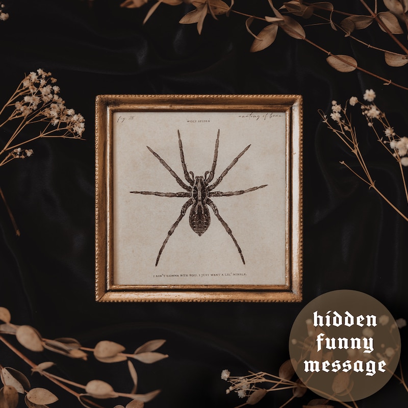 Spider Anatomy Art - Etsy UK