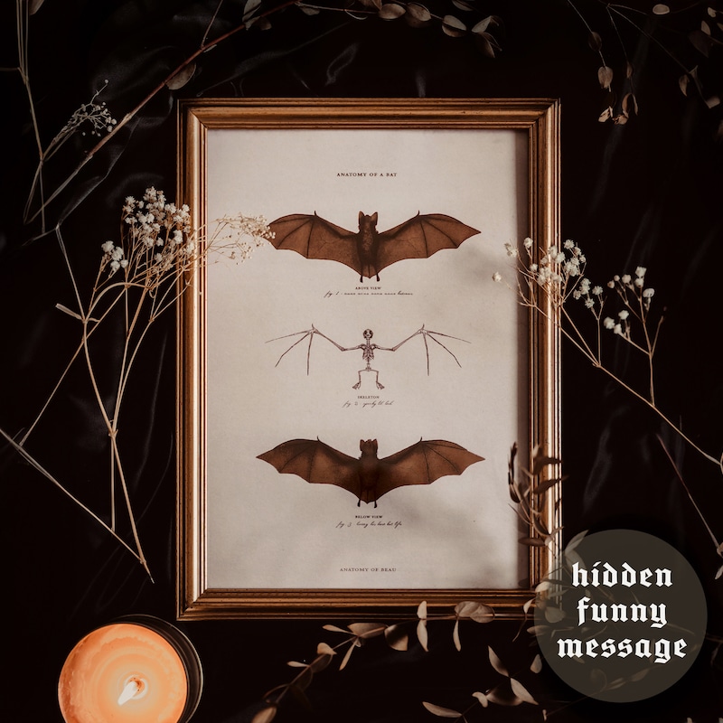 Bat Poster - Etsy
