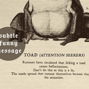 Toad - A4 Print | Includes Funny Hidden Message - Dark Academia ...
