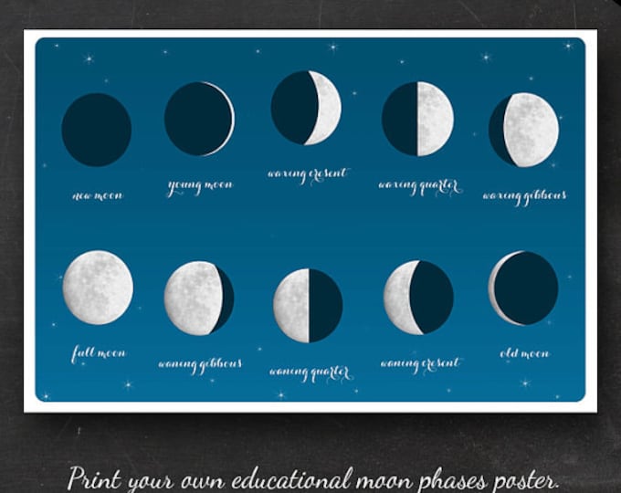 Moon Phases Flashcards- Printable Flash Cards of the Phases of the Moon ...