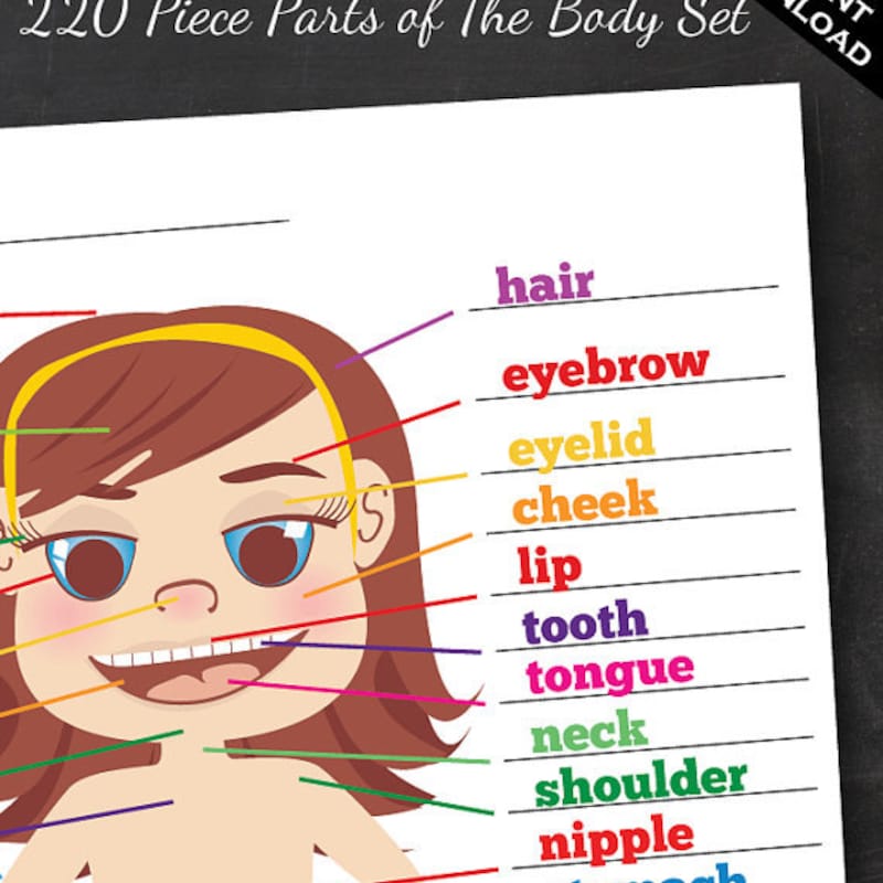 Body Part - Etsy
