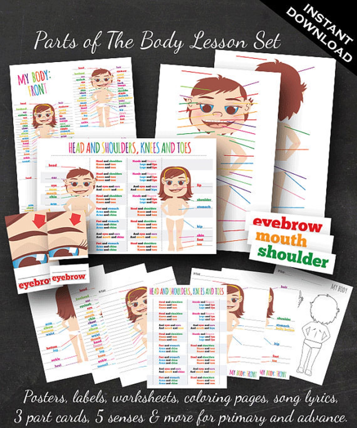 220 Piece Body Part Lessons Set - Anatomy for Kids - Parts of the Body ...