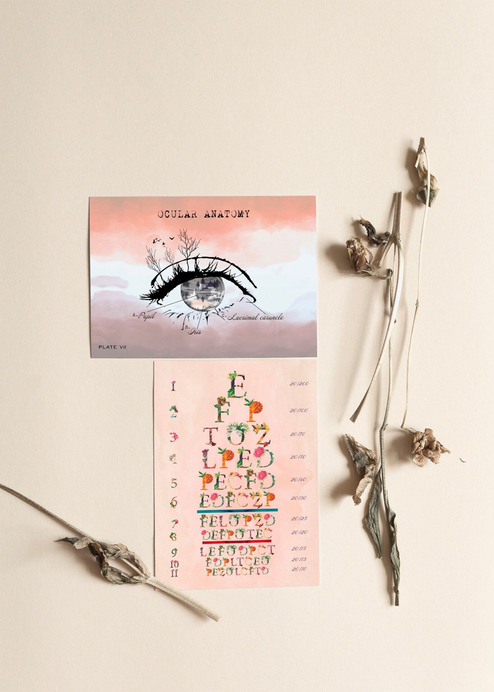 Set of 2 Optometry Prints Optometric Gifts for Optician Gift | Etsy