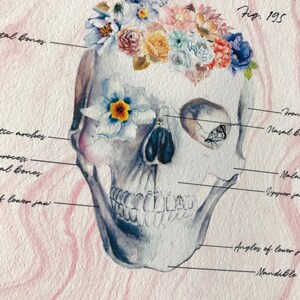 Skull, Skull Art, Skull Decor, Flowery Skull, Human Anatomy Art, Gift ...