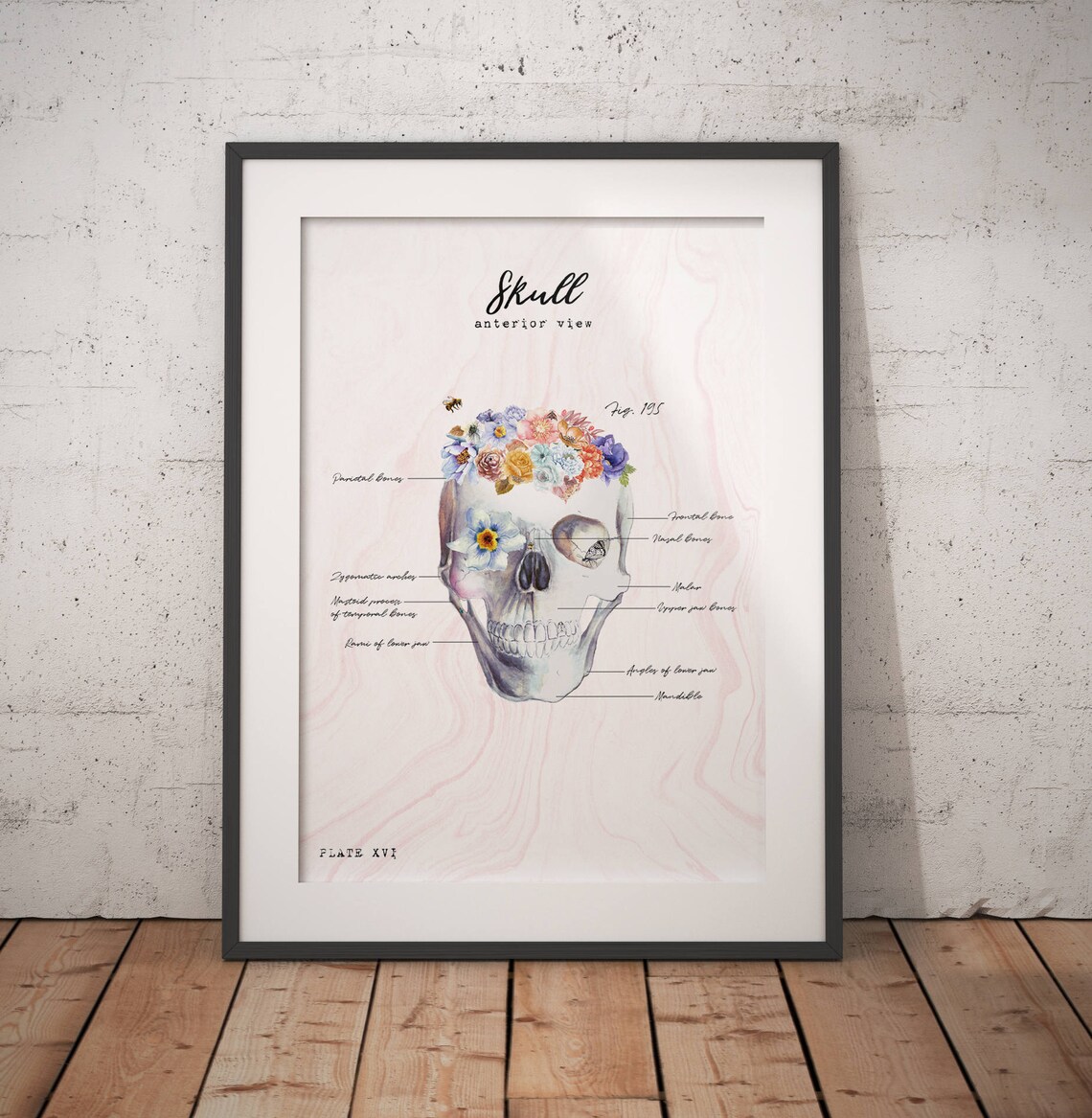Skull Skull Art Skull Decor Flowery Skull Human Anatomy - Etsy