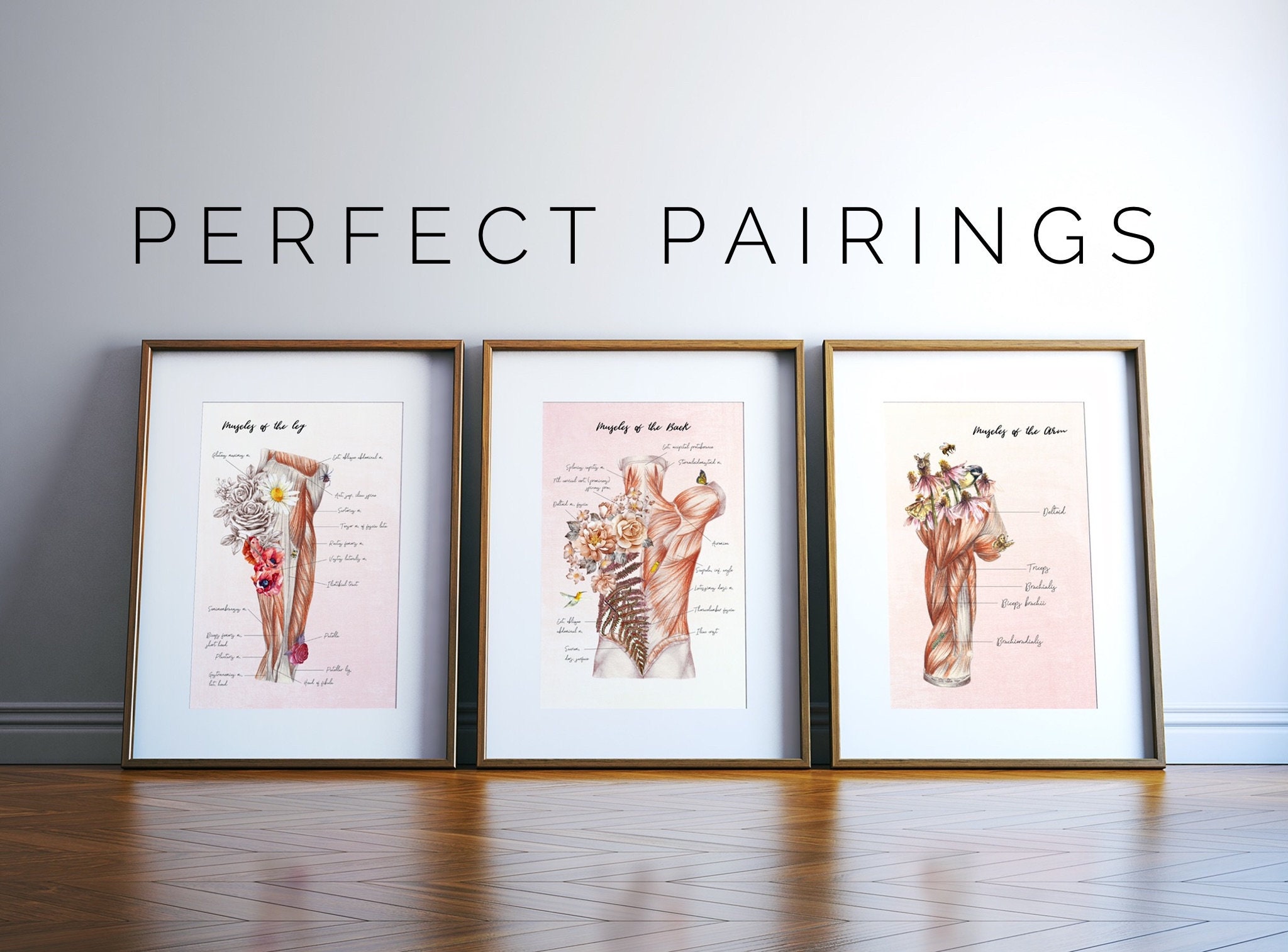 Muscles of the Back Print Poster Back Muscles Art Massage | Etsy