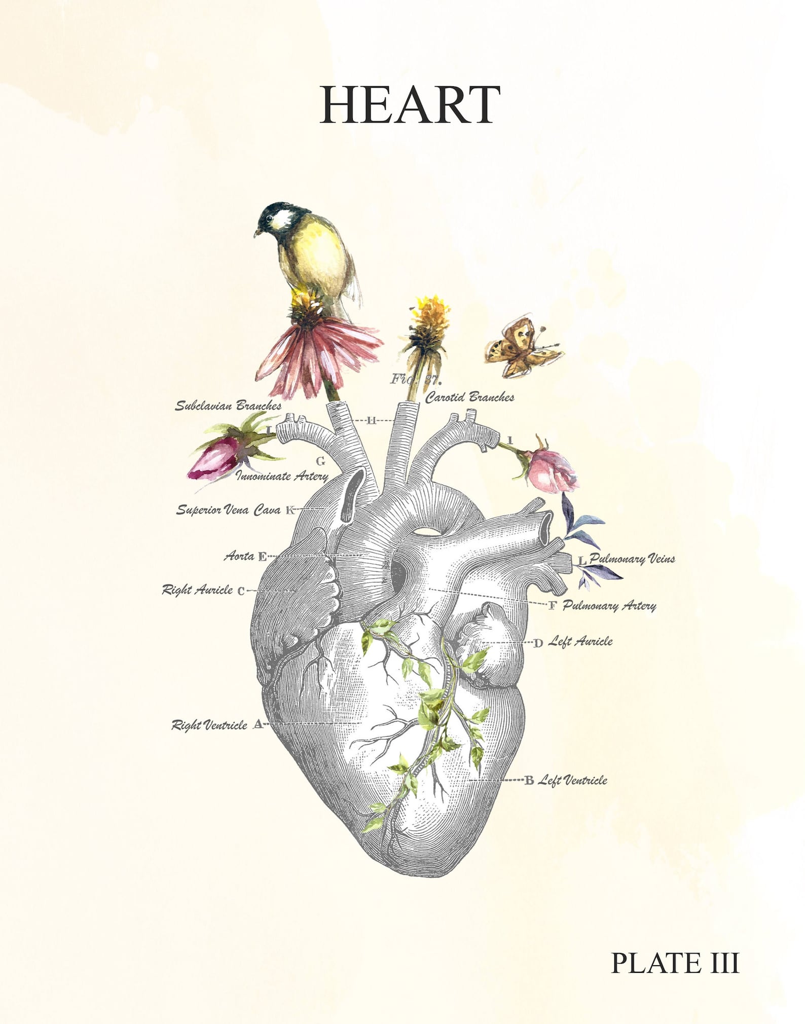 Cardiology Art cardiac nurse practitioner gifts EKG tech Gifts | Etsy