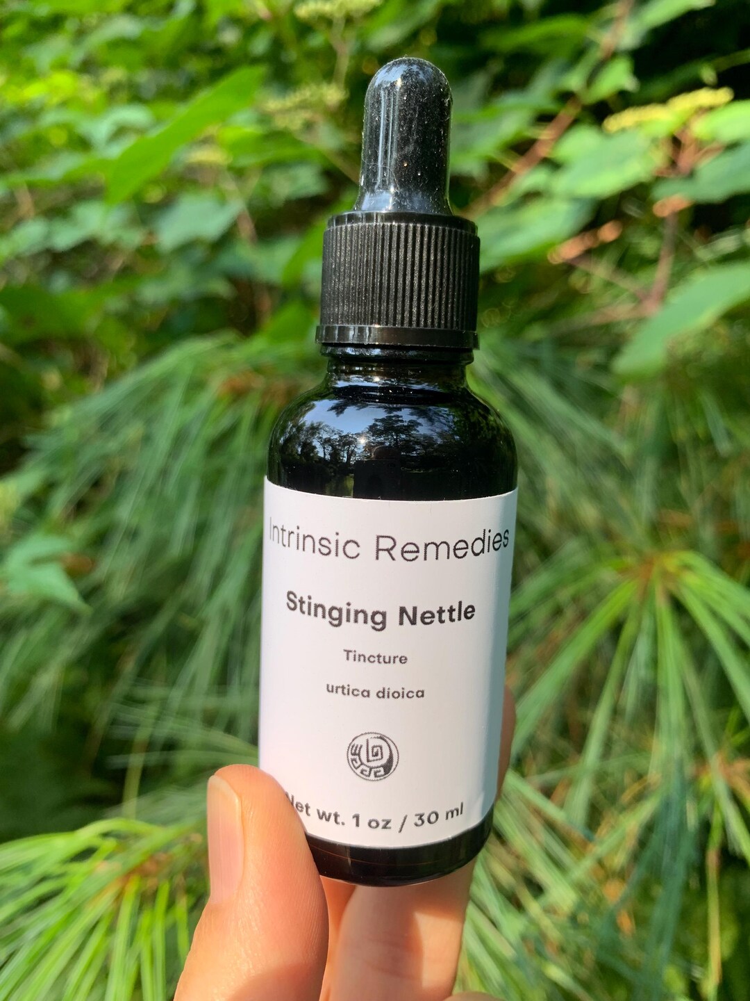 Organic Stinging Nettle Tincture (urtica Dioica) - Etsy