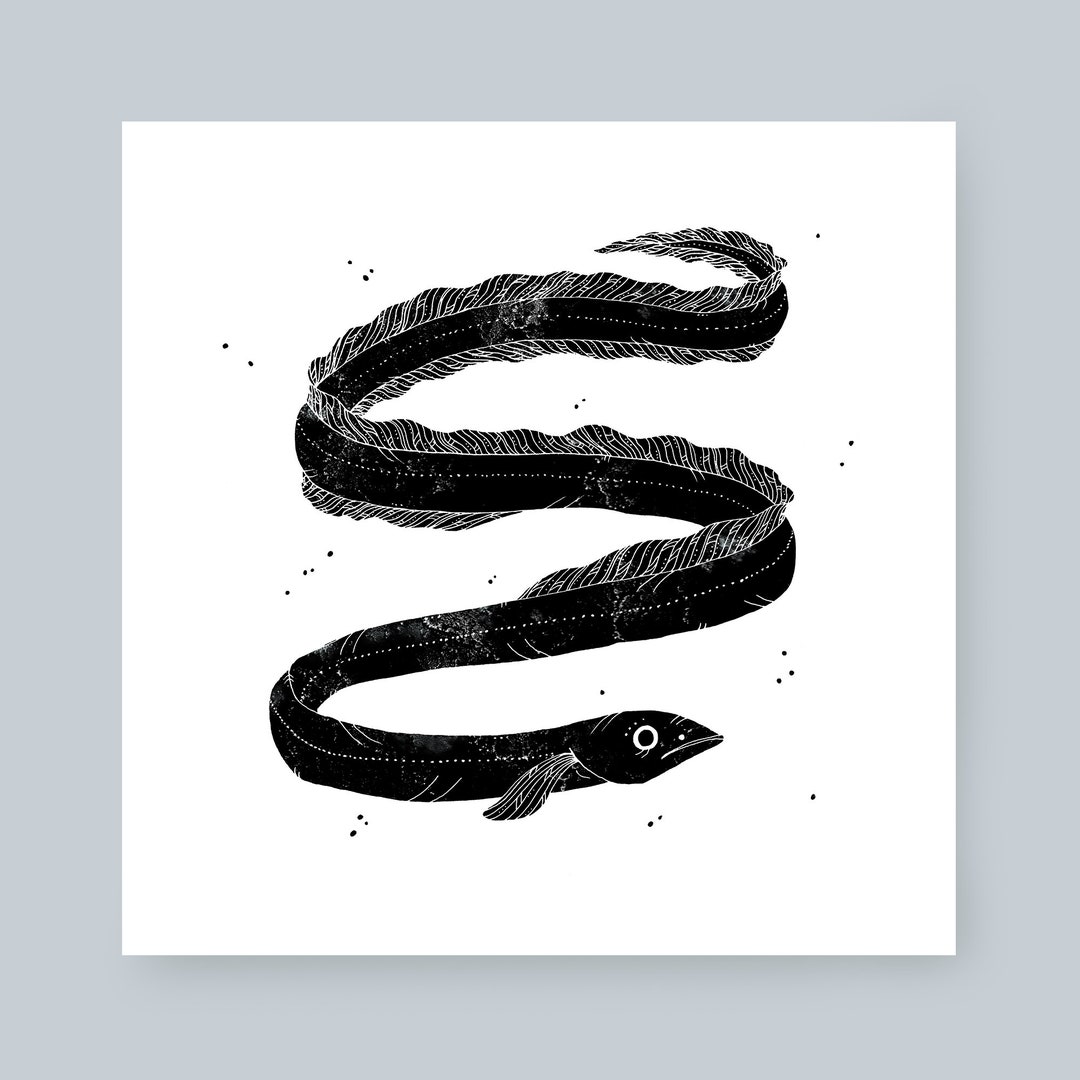 European Eel Giclée Print - Etsy