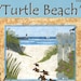 Turtle Beach Quilt Quilting Pattern, From Sweet Season Quilts NEW ...