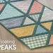 Longview Quilt Quilting Pattern, From Saginaw Street Quilts BRAND NEW ...