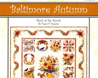 Baltimore Blooms Appliqué Quilt Kit Friendship - Etsy