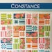 Constance Quilt Quilting Pattern From Robin Pickens Quilt Patterns NEW ...