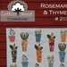 Rosemary and Thyme Quilt Quilting Pattern From Cotton Street Commons BRAND NEW, Please See ...
