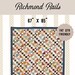 Pebble Path Quilt Quilting Pattern, From Cozy Quilt Designs NEW, Please ...