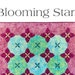 Blooming Stars Quilt Quilting Pattern From Southwind Designs BRAND NEW ...