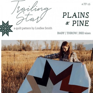 Trailing Star Quilt Quilting Pattern, From Plains and Pines BRAND NEW ...
