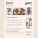 Camel Ride on Stick Toy Sewing Pattern, From Rustic Horseshoe BRAND NEW ...