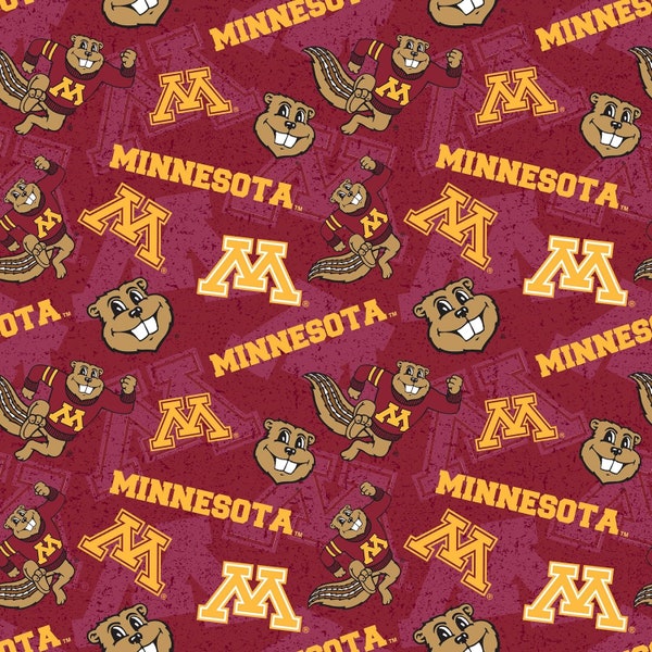 University of Minnesota - Etsy
