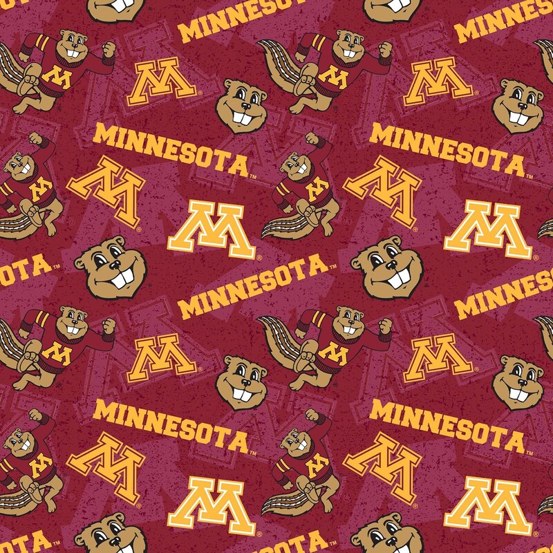 University of Minnesota - Etsy