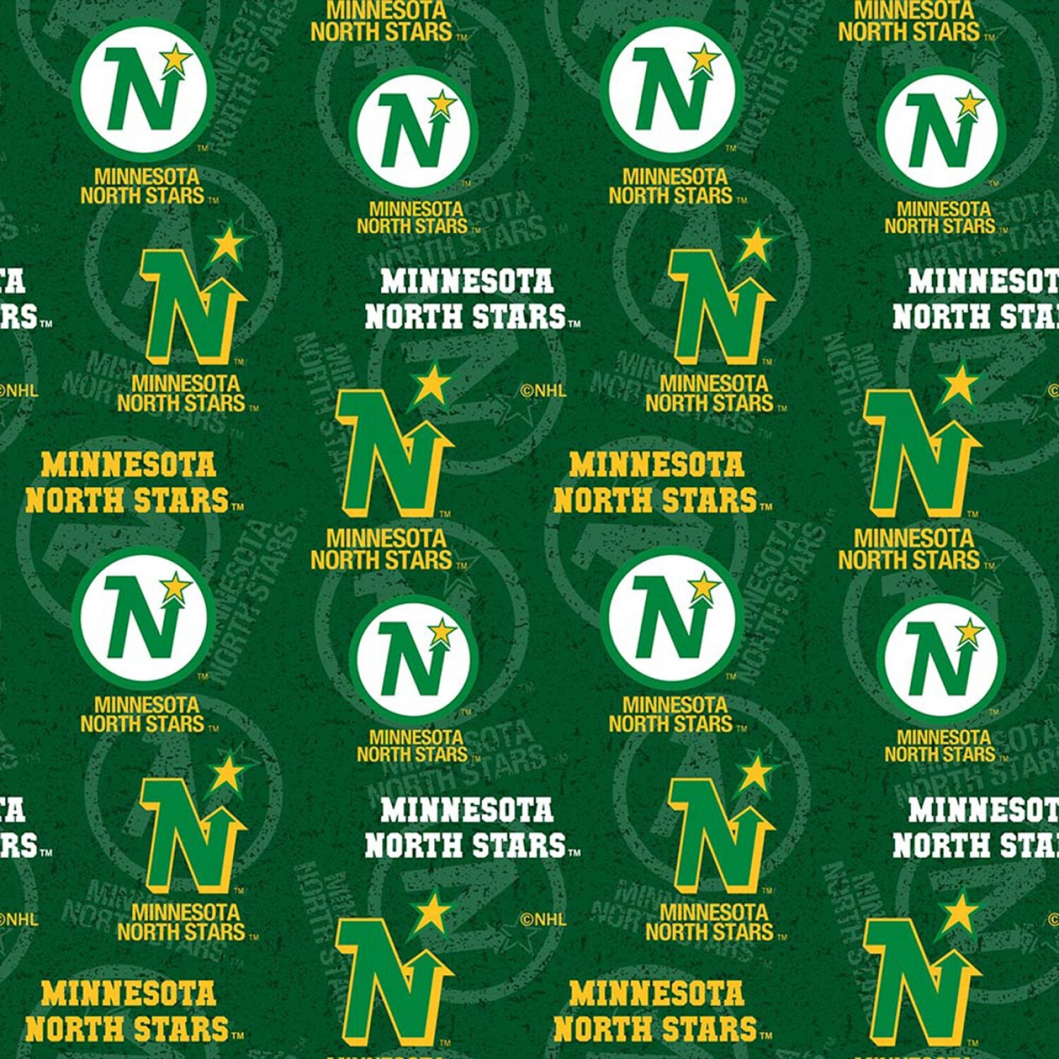 Northstar Hockey Logo