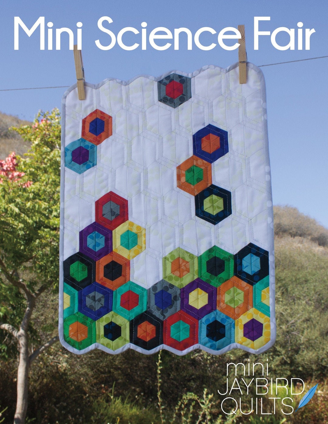 Mini Science Fair Pieced Quilt Quilting Pattern From Jaybird Quilts ...