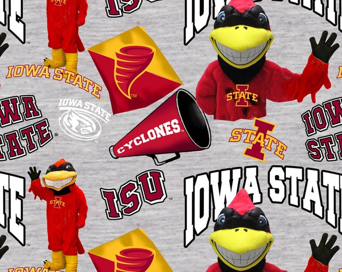 Iowa State University Cyclones Football Mascots on Gray Cotton Fabric ...