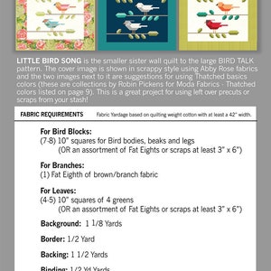 Little Bird Song Quilt Quilting Pattern From Robin Pickens Quilt ...