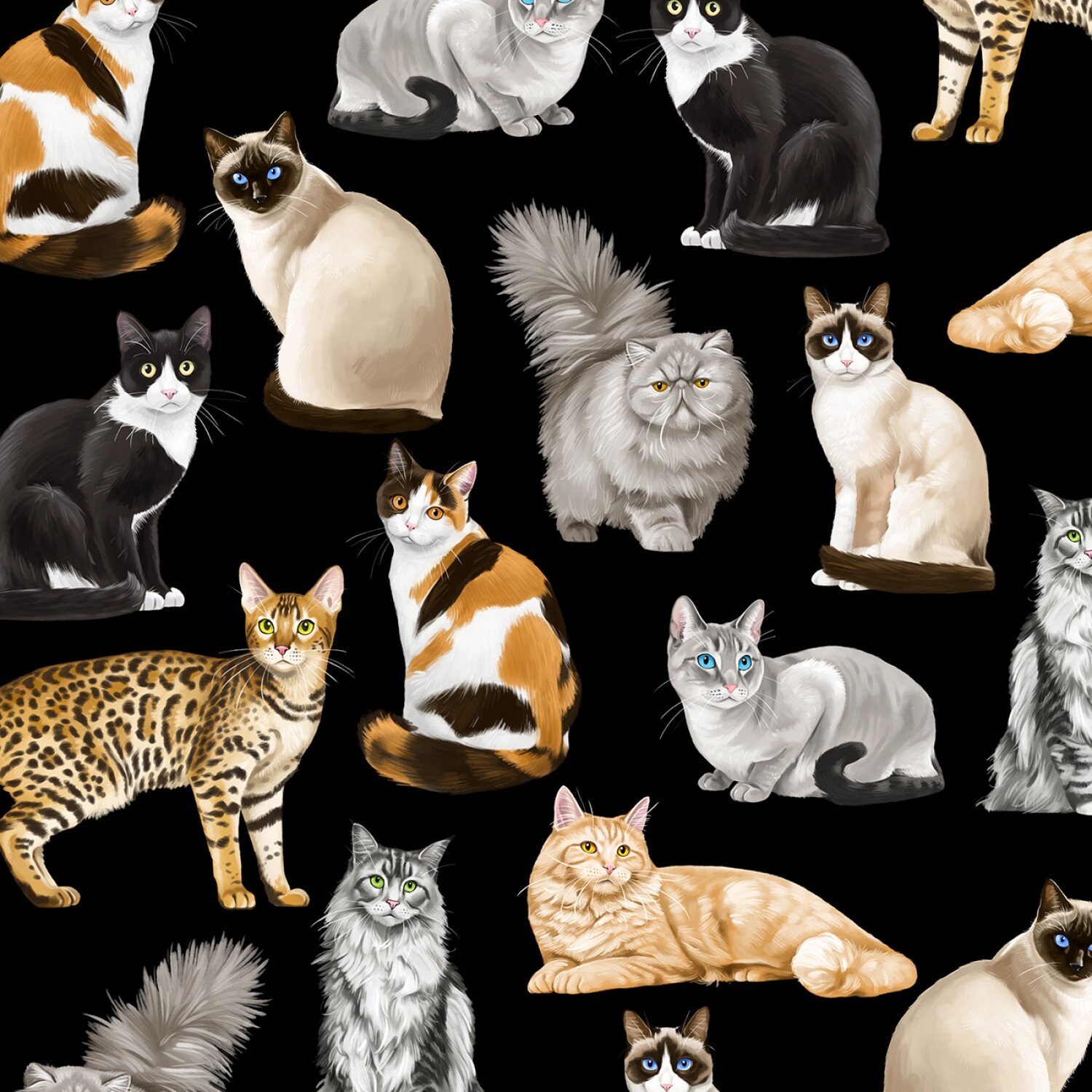 Fancy Felines Cats on Black Cotton Fabric From Timeless Treasures ...