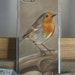 Robin Phone Case - Etsy UK