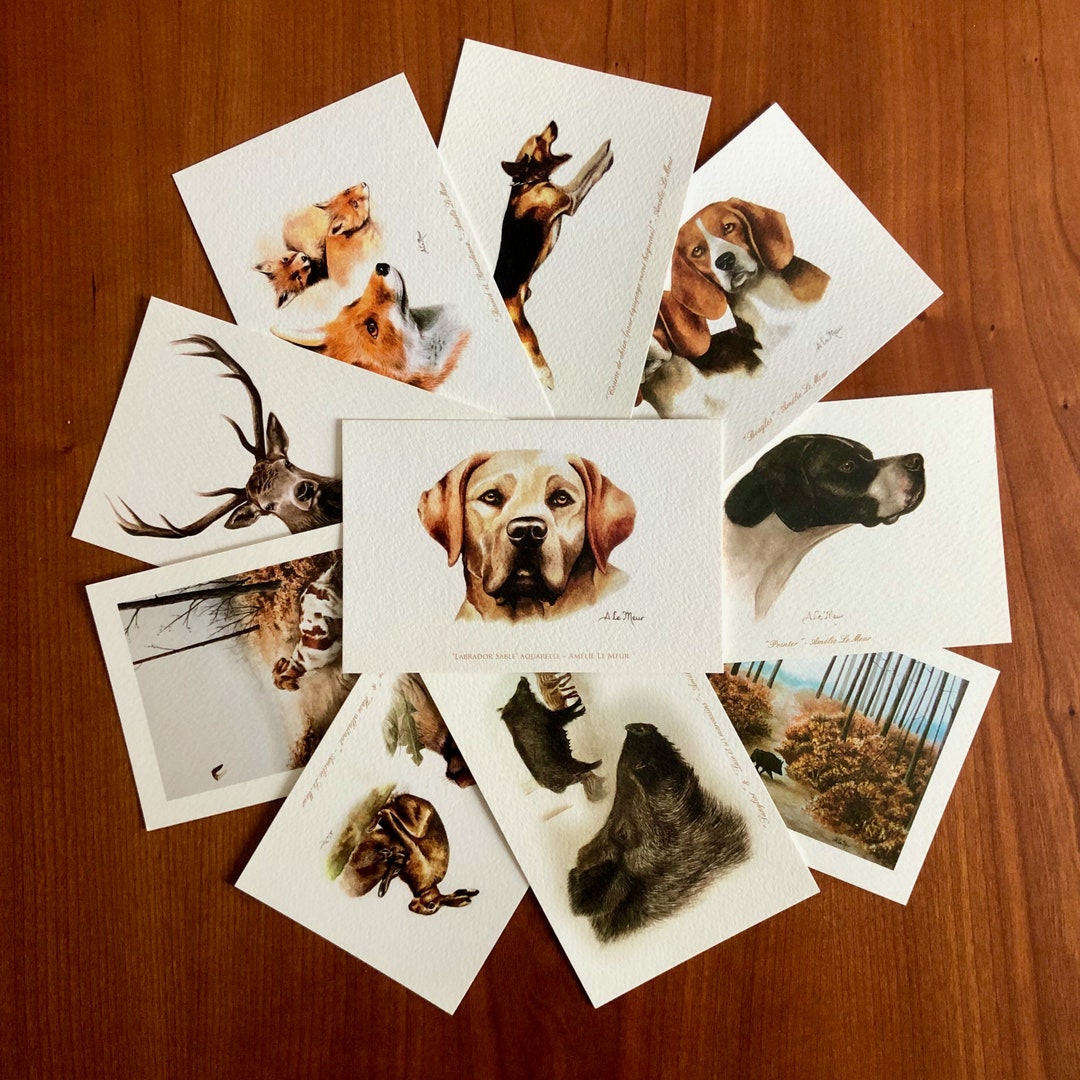 MAMMALS Collection: 10 Animal-themed Greeting Cards Art Prints - Etsy