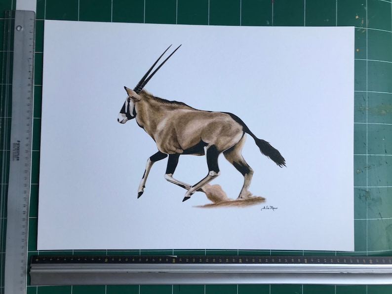 Reproduction of Art "oryx" R16 - Etsy