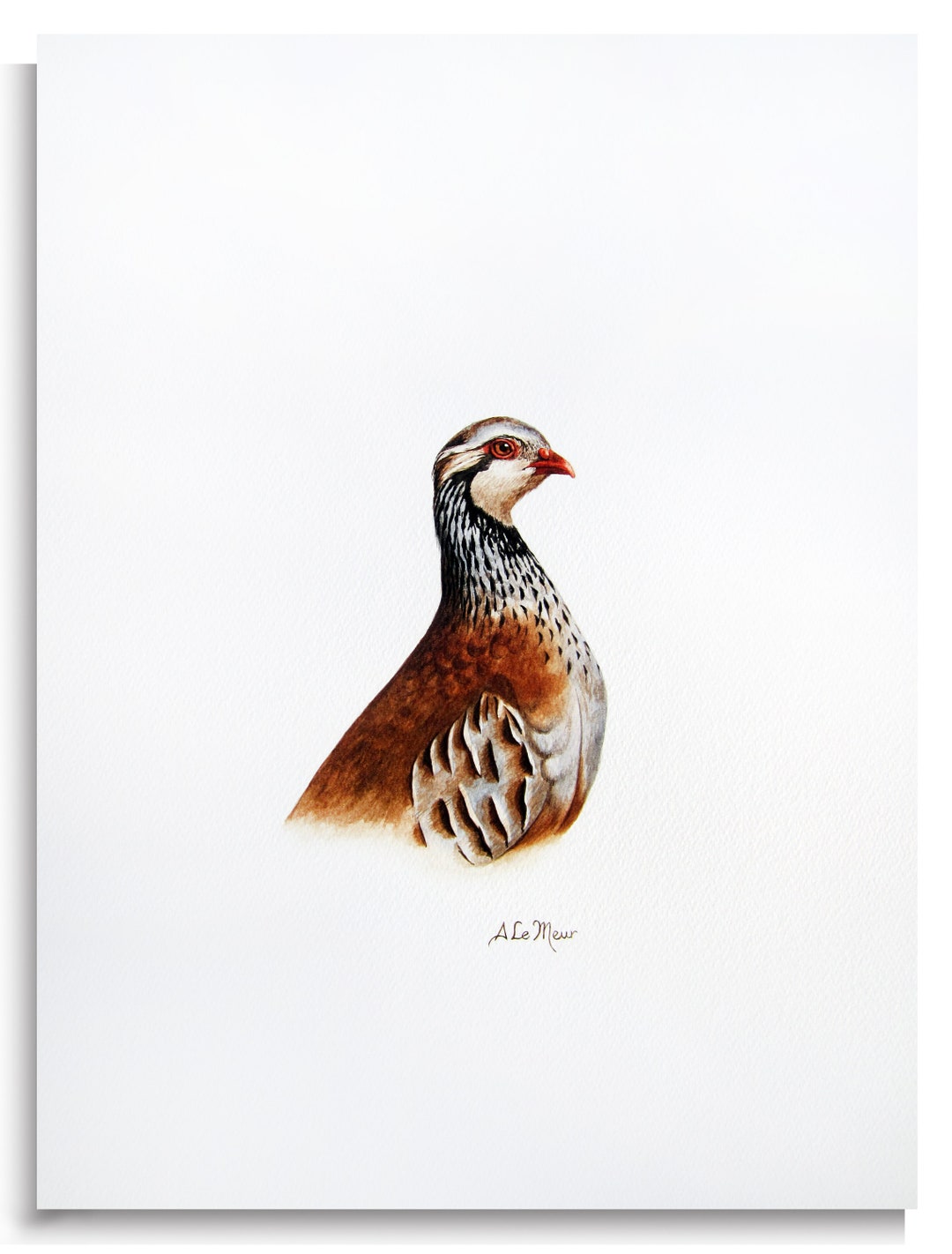 Reproduction of Art "perdrix" R7 - Etsy UK