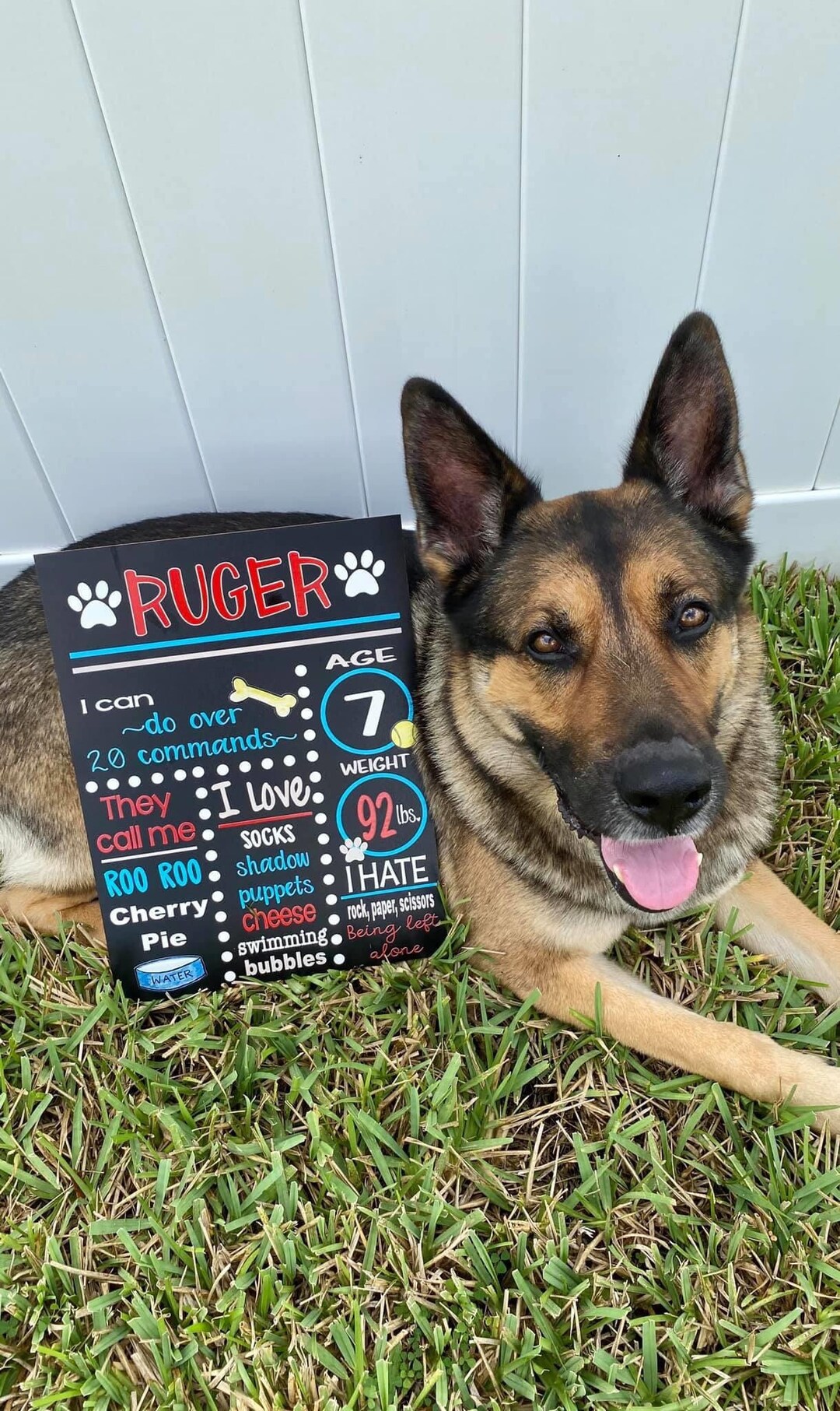 Pet Milestone Chalkboard Sign, Birthday Sign or Dog, Custom Printed Pet ...