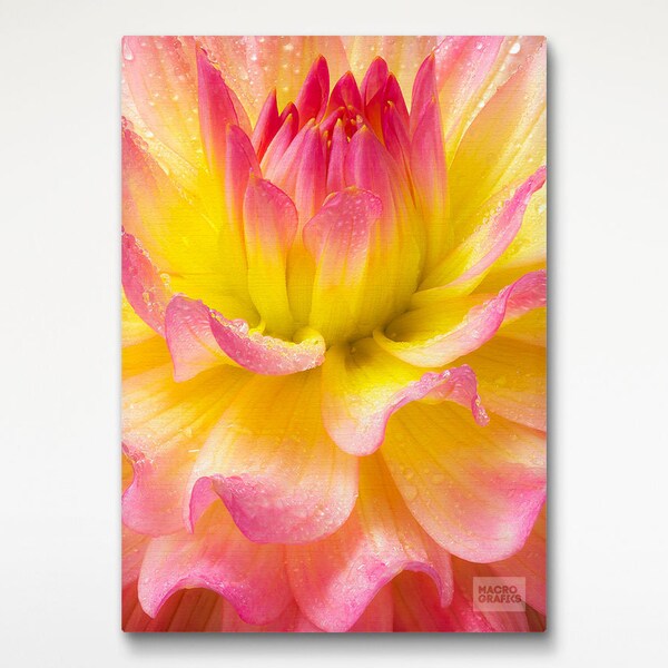 Pink Fine Art Print - Etsy