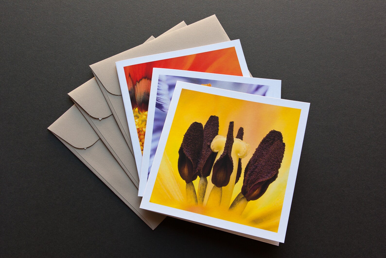 Floral Greeting Cards Macro Photography Cards With - Etsy