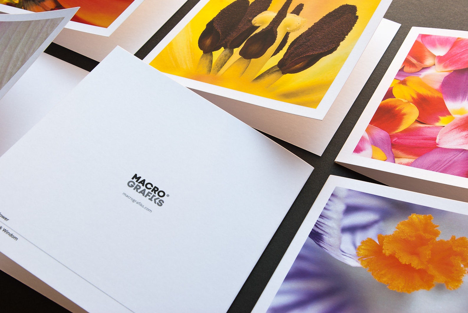 Floral Greeting Cards Macro Photography Cards With - Etsy