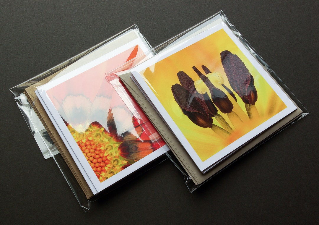 Floral Greeting Cards, Macro Photography, Cards With Envelopes, 3 Blank ...