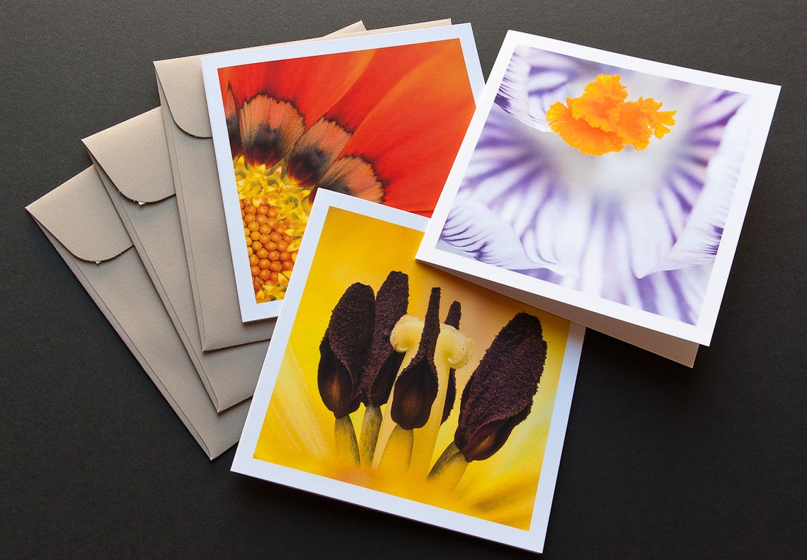 Floral Greeting Cards Macro Photography Cards With - Etsy