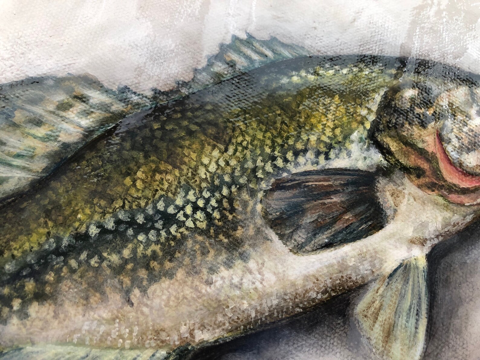 Large Mouth Bass Bass Fish Fishing Small Mouth Bass Pet - Etsy