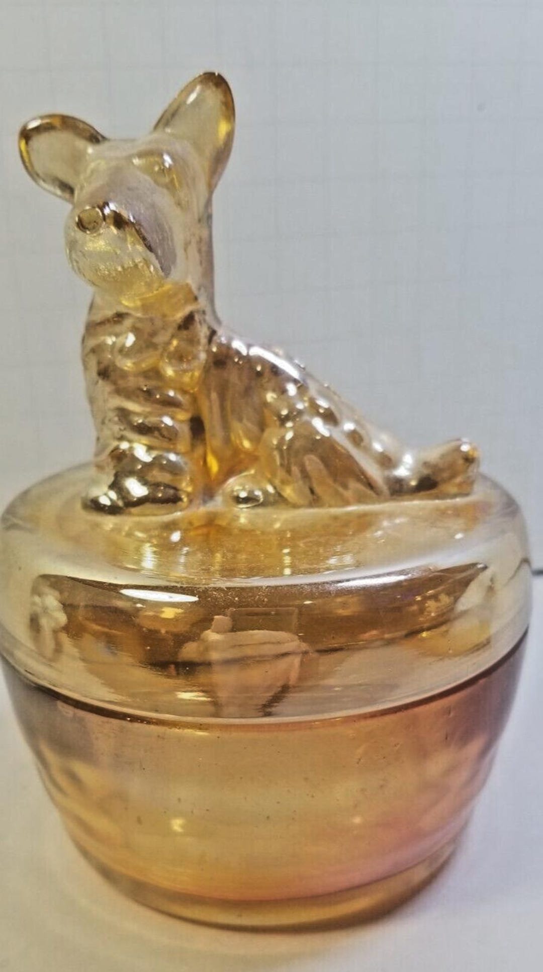 Vintage Jeanette Marigold Carnival Glass Scotty Dog Powder Jar Trinket ...